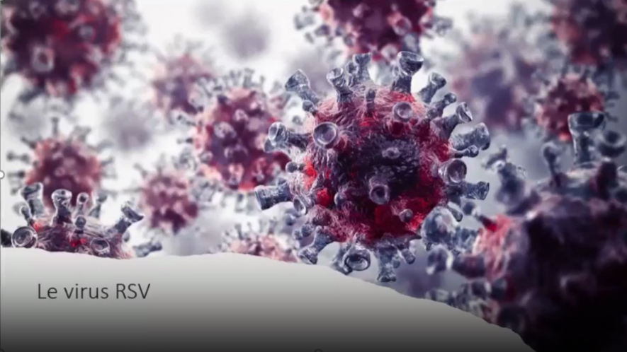 Lunchtalk: Nouvelle protection pour les nourissons contre le RSV ...